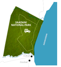 Parque Nacional Saadani - Dream Eco Safari